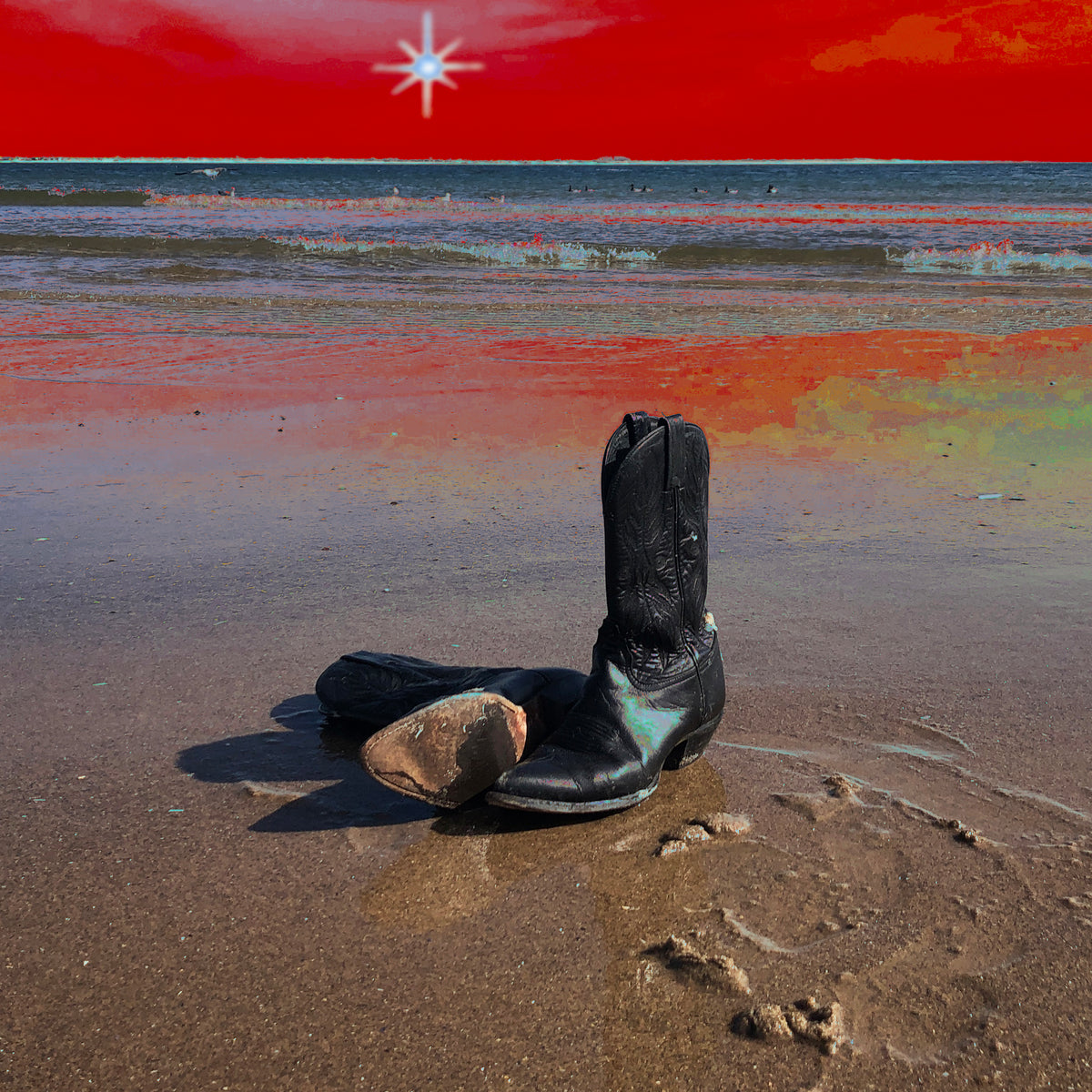 zannie - single + video – Kill Rock Stars